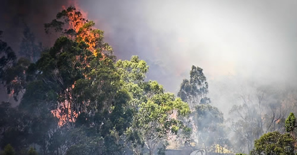 AUSTRALIA FOREST FIRE