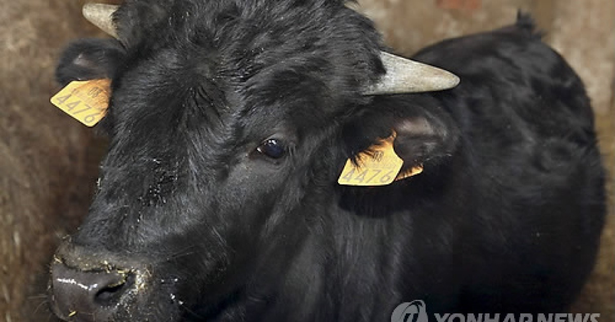 SPAIN SCIENCE CLONING