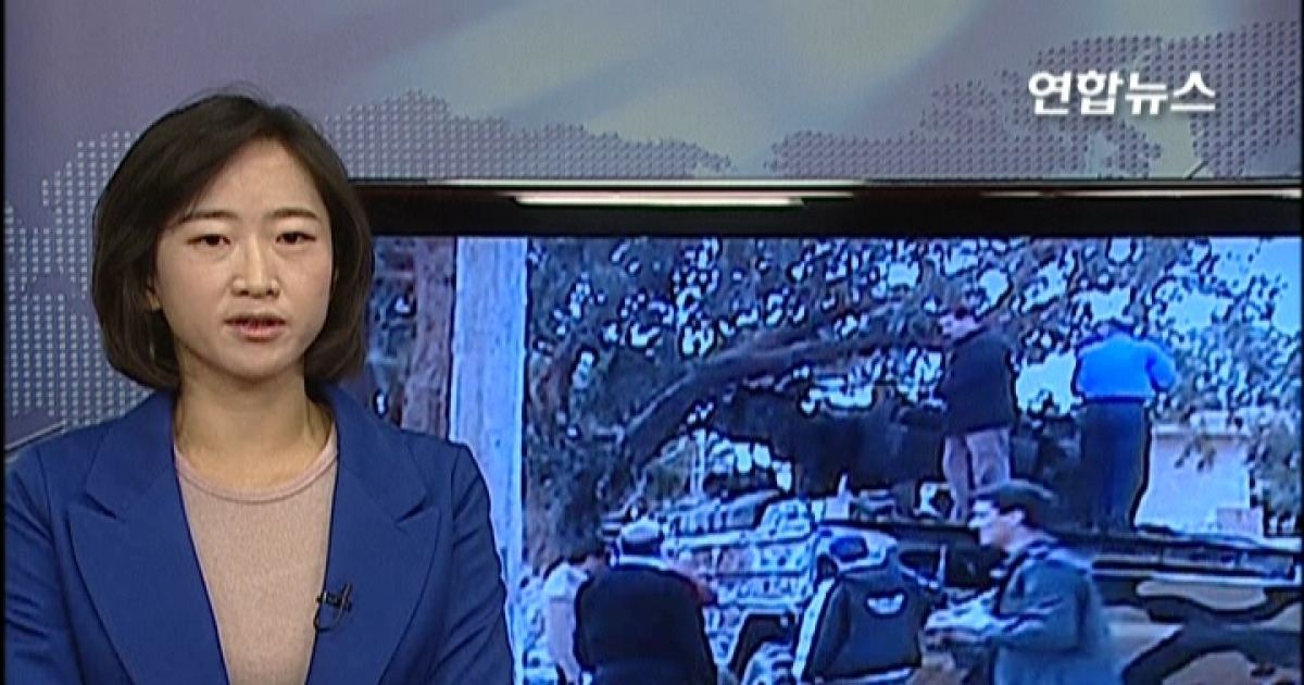 3차 공습 시작..다국적군 연합작전 성과는?