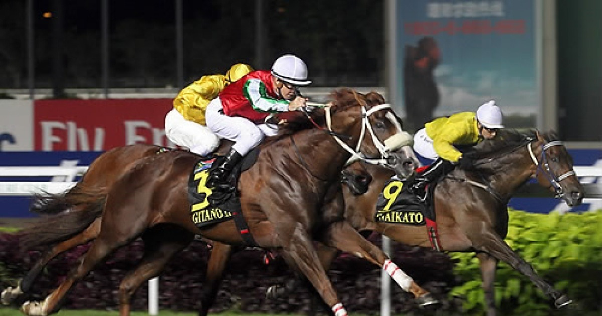 SINGAPORE HORSE RACING