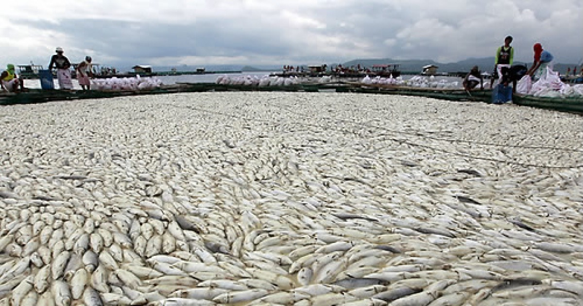 PHILIPPINES FISH KILL VOLCANO