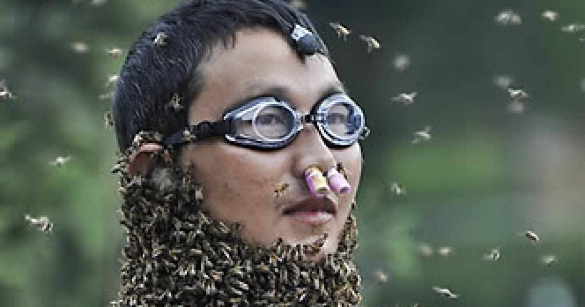 APTOPIX China Bee Bearding