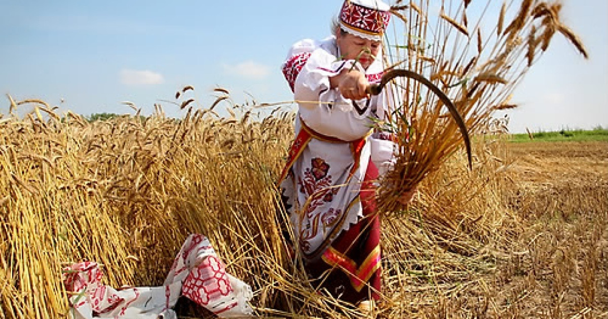 BELARUS ECONOMY AGRICULTURE HARVEST