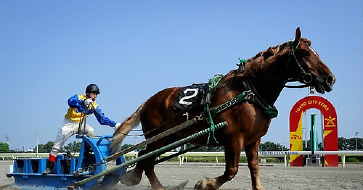 JAPAN HORSE RACE