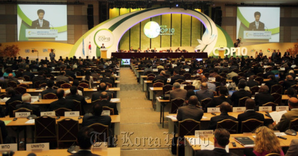 KFS leads global drive against deforestation