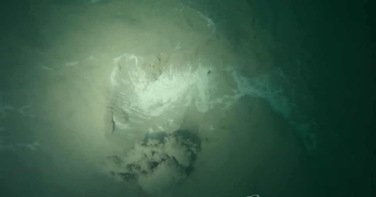 MIDEAST DEAD SEA LIFE