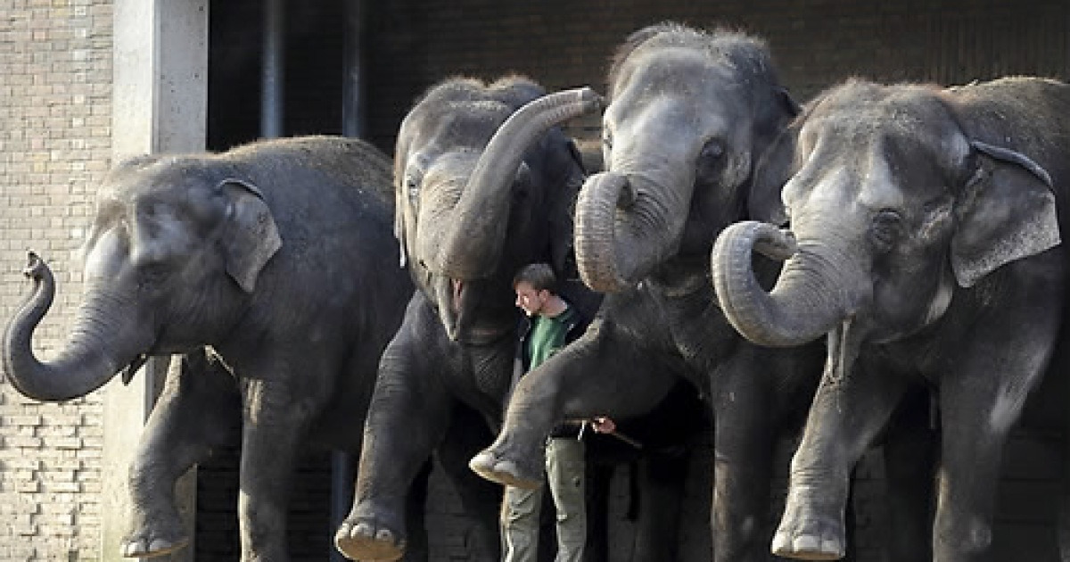 GERMANY ANIMALS ZOO INVENTORY