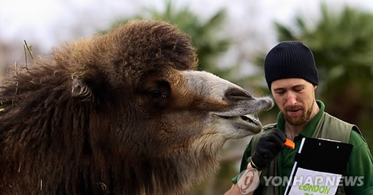 BRITAIN ANIMALS LONDON ZOO