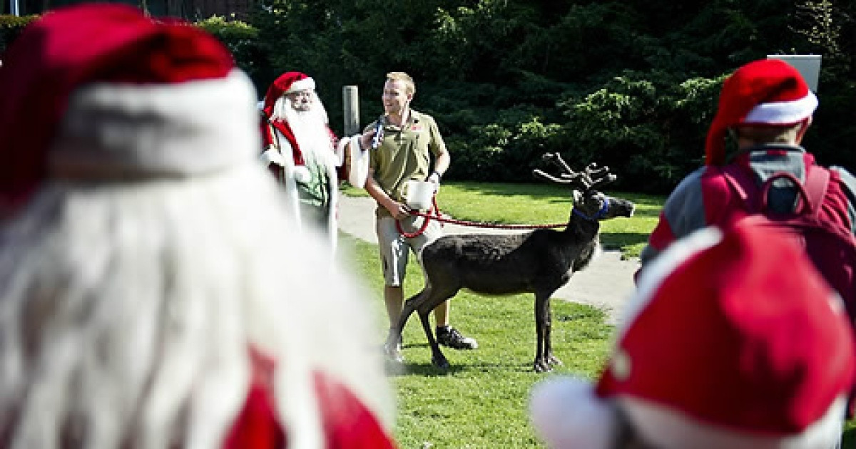 DENMARK SANTA CLAUS CONGRESS 2012