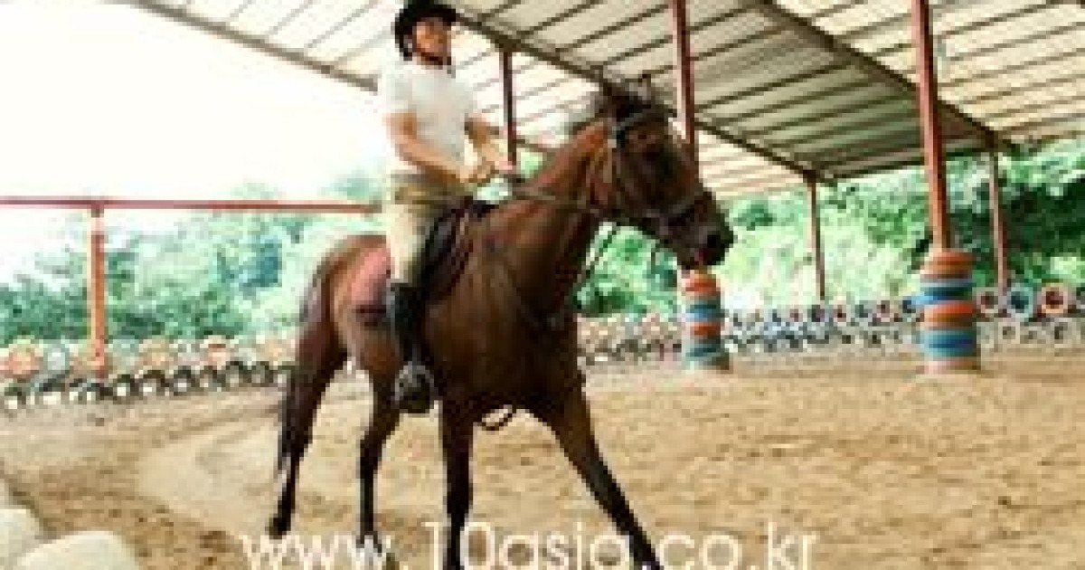 JIMFF 2012│신사, 숙녀들을 위한 제천의 품격