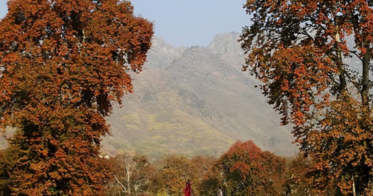 INDIA-KASHMIR AUTUMN