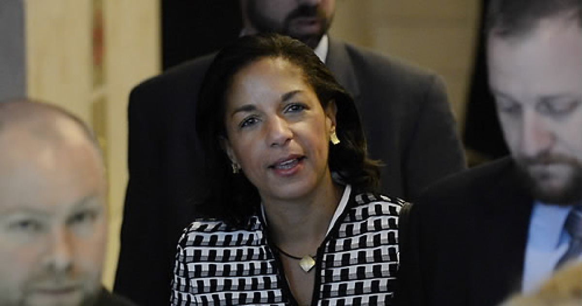 USA GOVERNMENT RICE CONGRESS