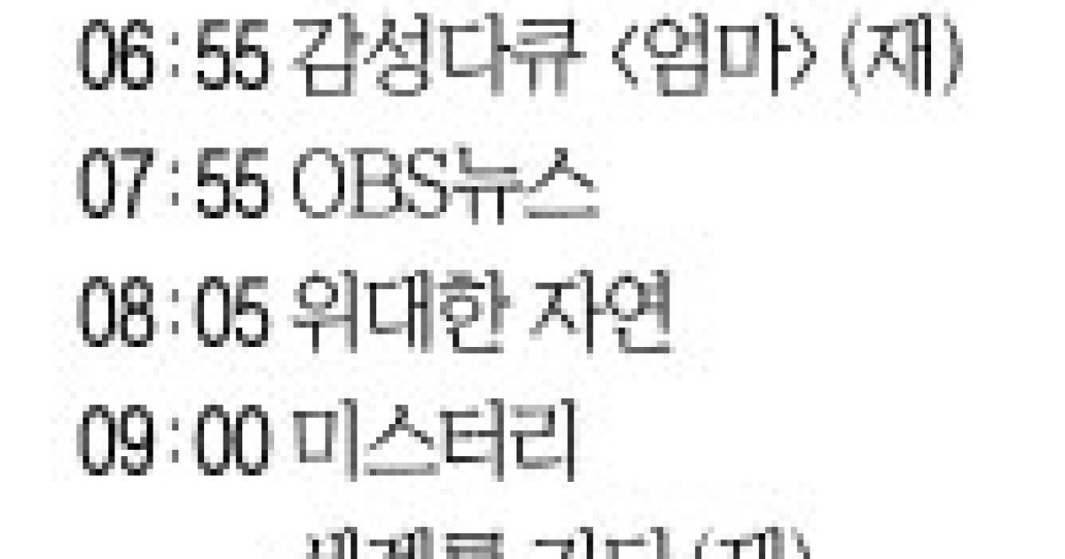 [8일(土) 서울신문 STV·OBS·EBS]