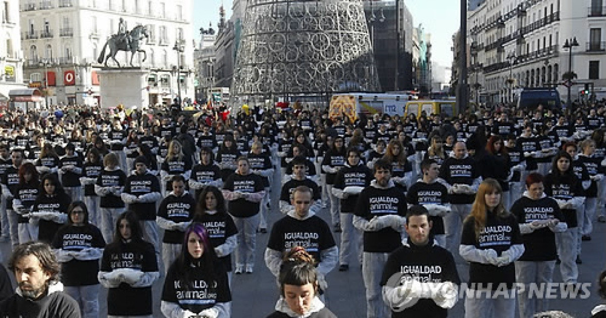 SPAIN ANIMAL RIGHTS PROTESTS