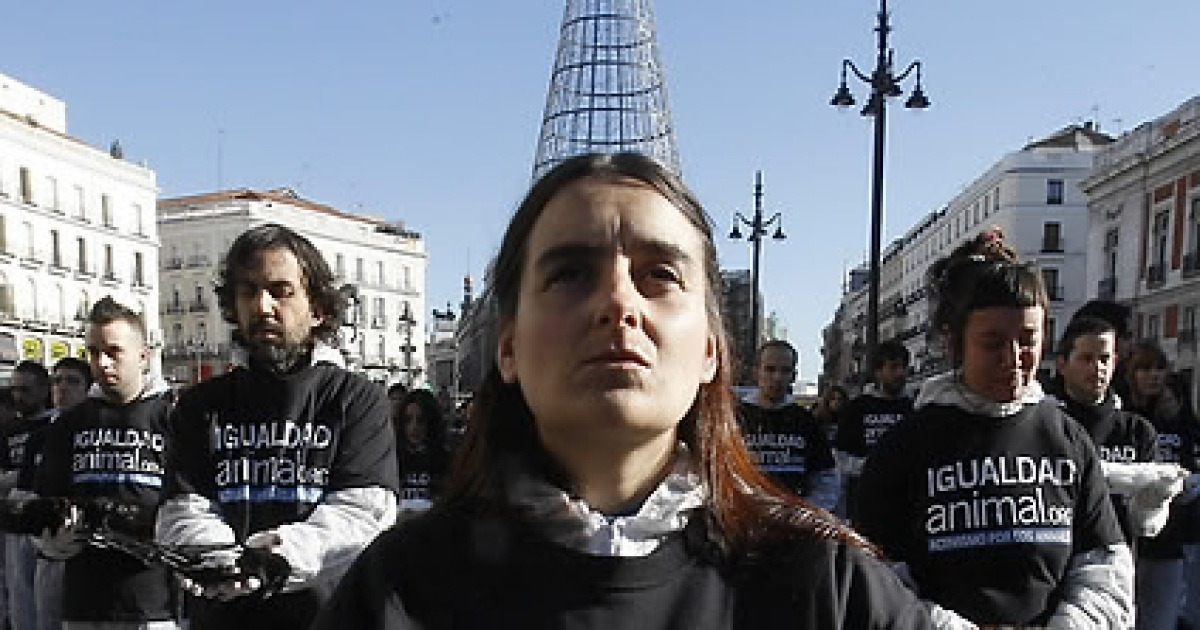 SPAIN ANIMAL RIGHTS PROTESTS