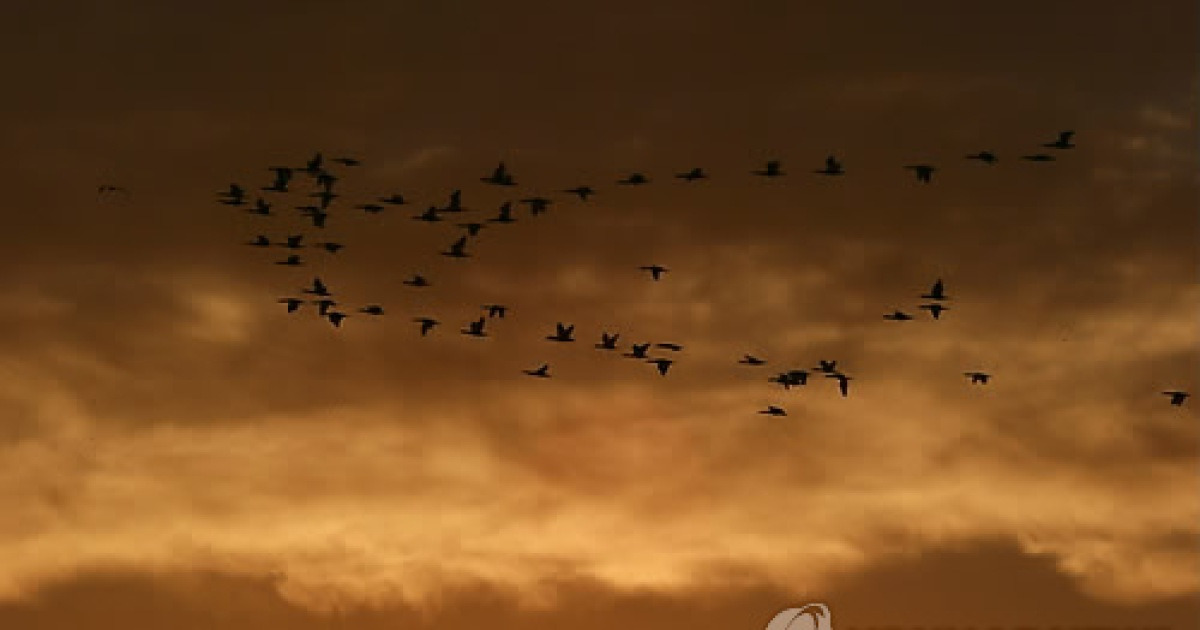 SOUTH AFRICA SUMMER SOLSTICE