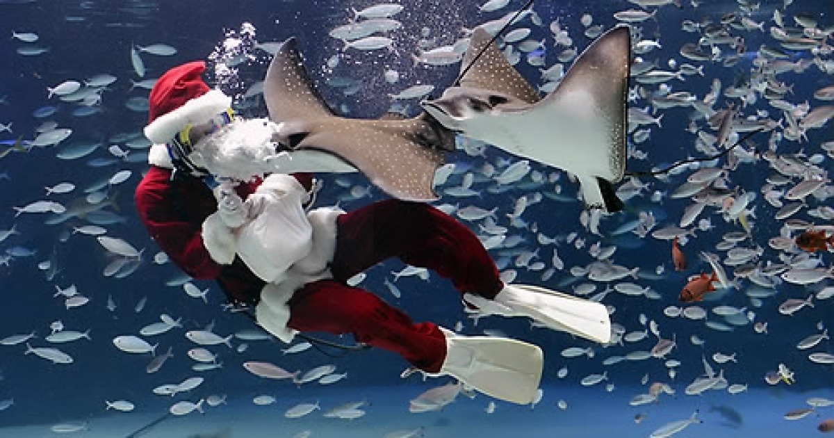 JAPAN CHRISTMAS FEATURE
