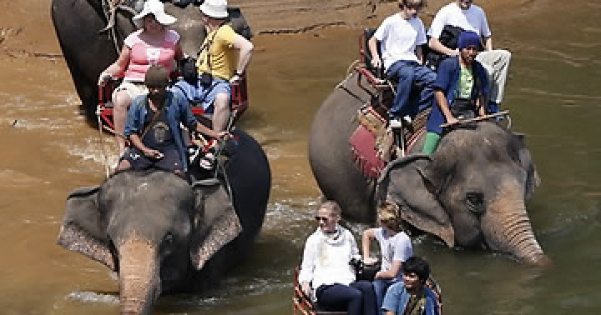 THAILAND CITES IVORY ILLEGAL TRADE