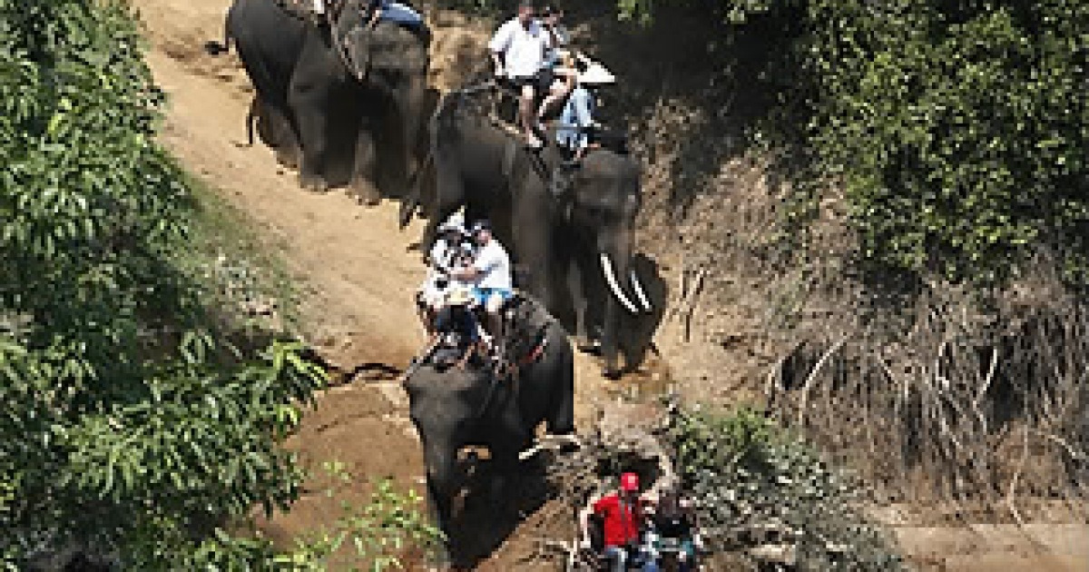 THAILAND CITES IVORY ILLEGAL TRADE