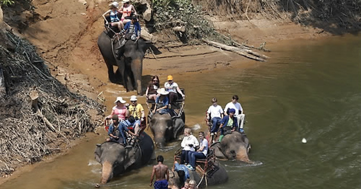 THAILAND CITES IVORY ILLEGAL TRADE