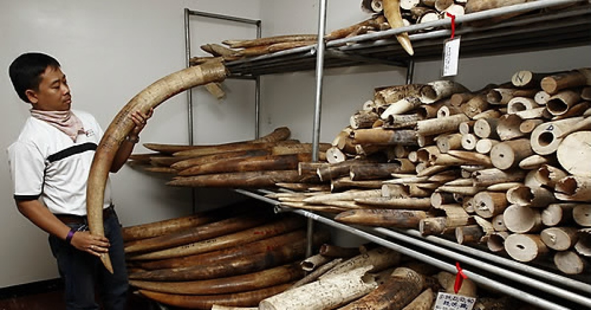 PHILIPPINES CITES ELEPHANT TUSKS