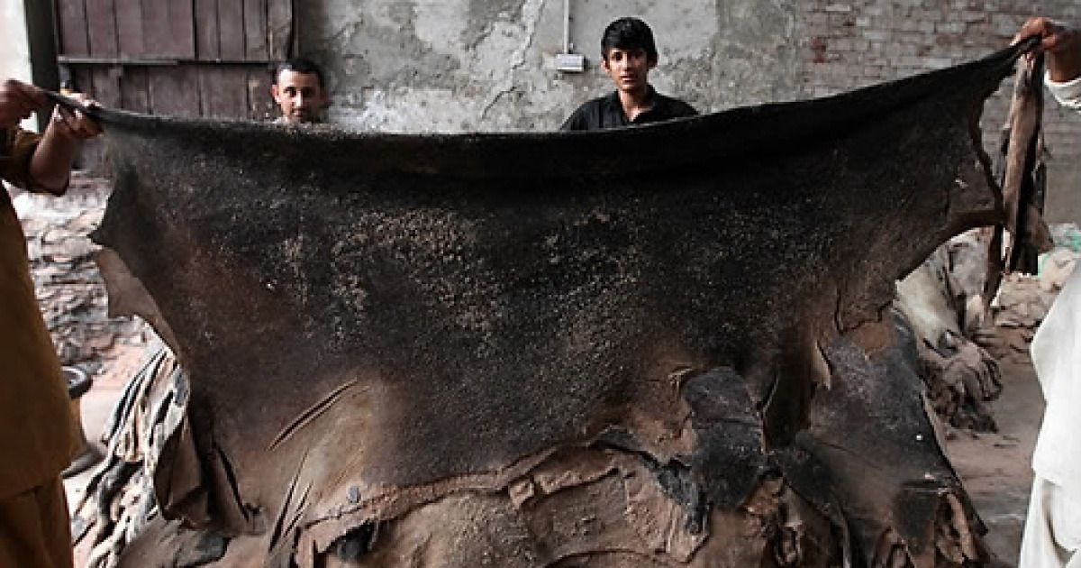 PAKISTAN ANIMALS SKINS