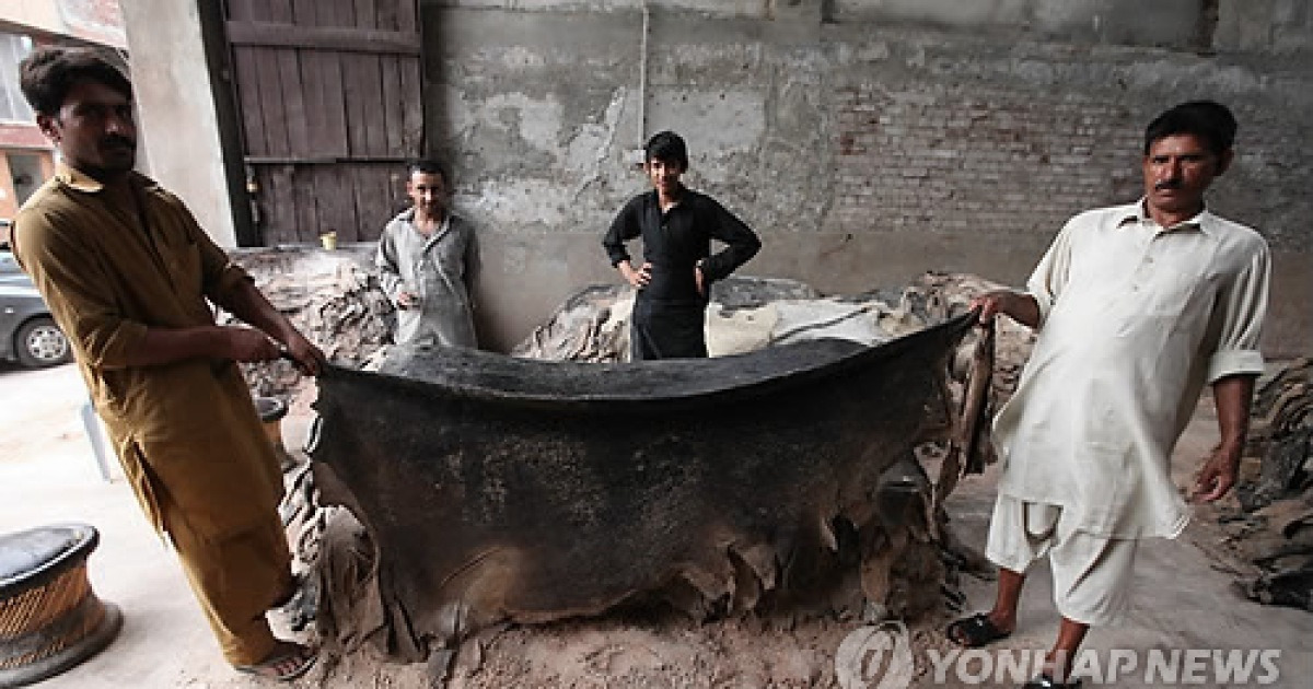 PAKISTAN ANIMALS SKINS