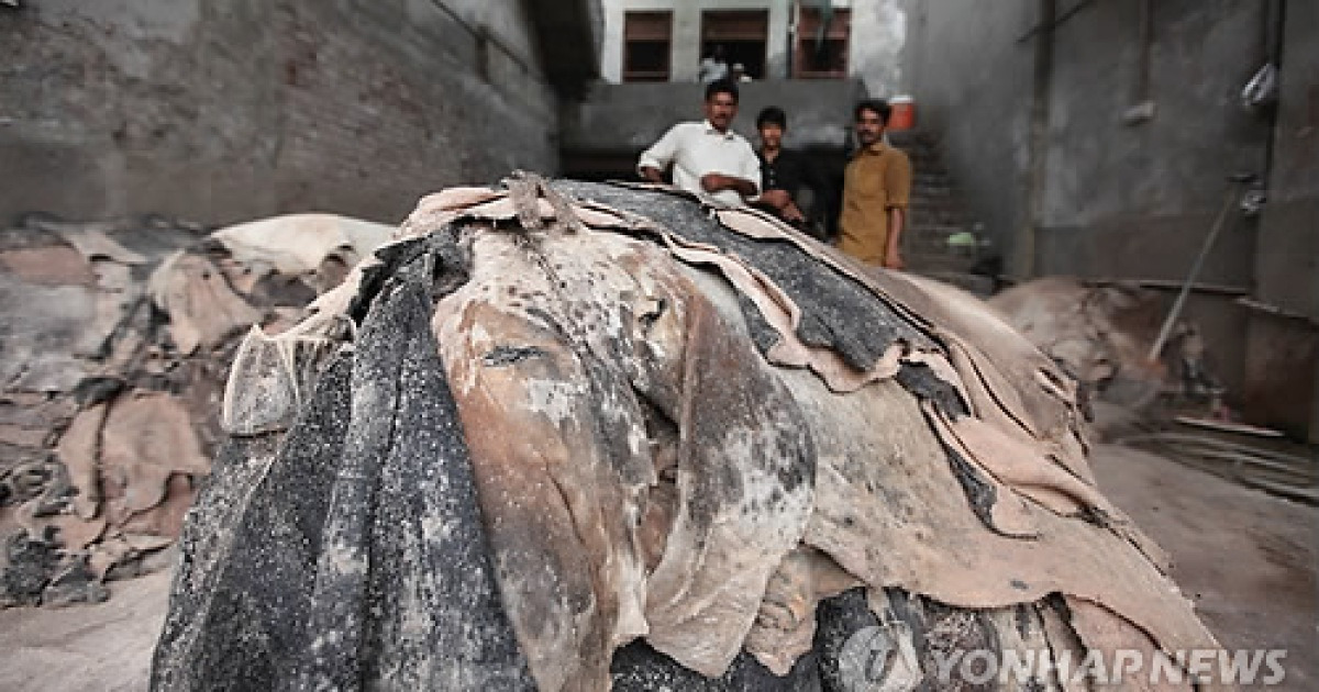 PAKISTAN ANIMALS SKINS