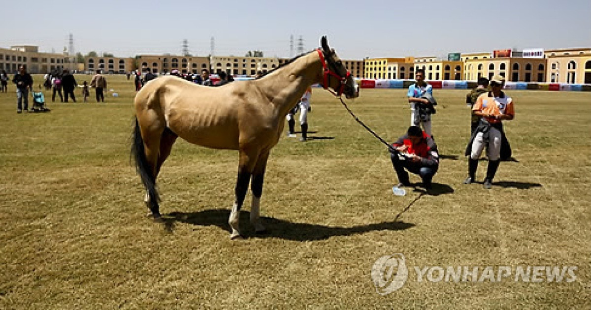 CHINA EQUESTRIAN CULTURE FESTIVAL