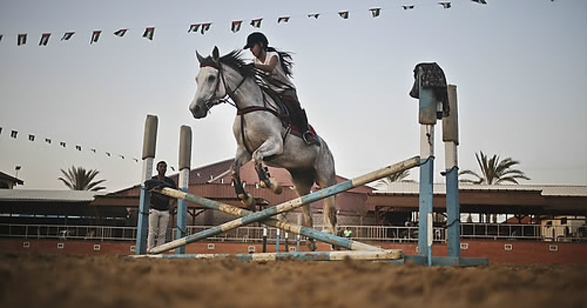 MIDEAST ISRAEL PALESTINIANS GAZA HORSE
