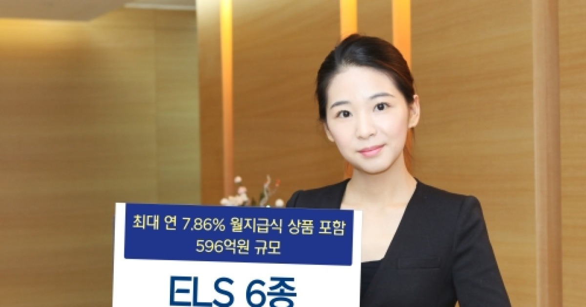 KDB대우증권, ELS 6종·DLS 6종 공모