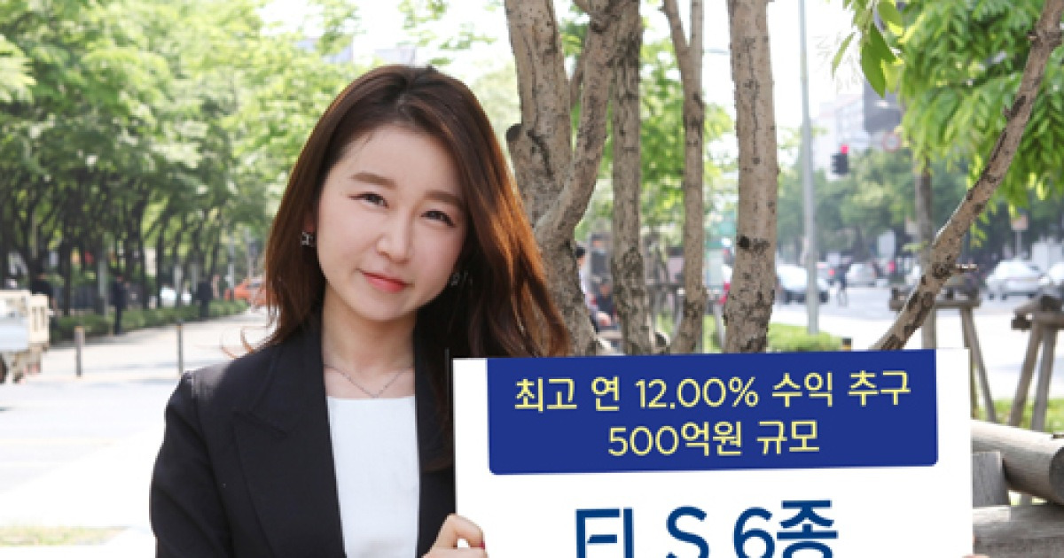 KDB대우증권, ELS 6종·DLS 4종 공모..최고 연 12% 추구