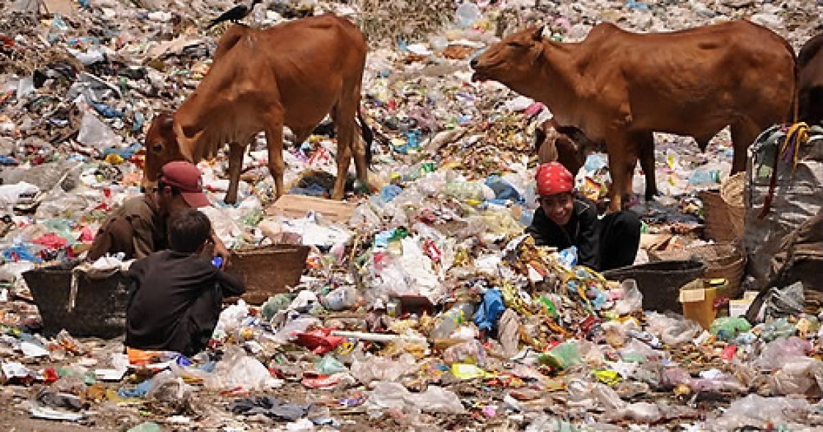 PAKISTAN ENVIRONMENT