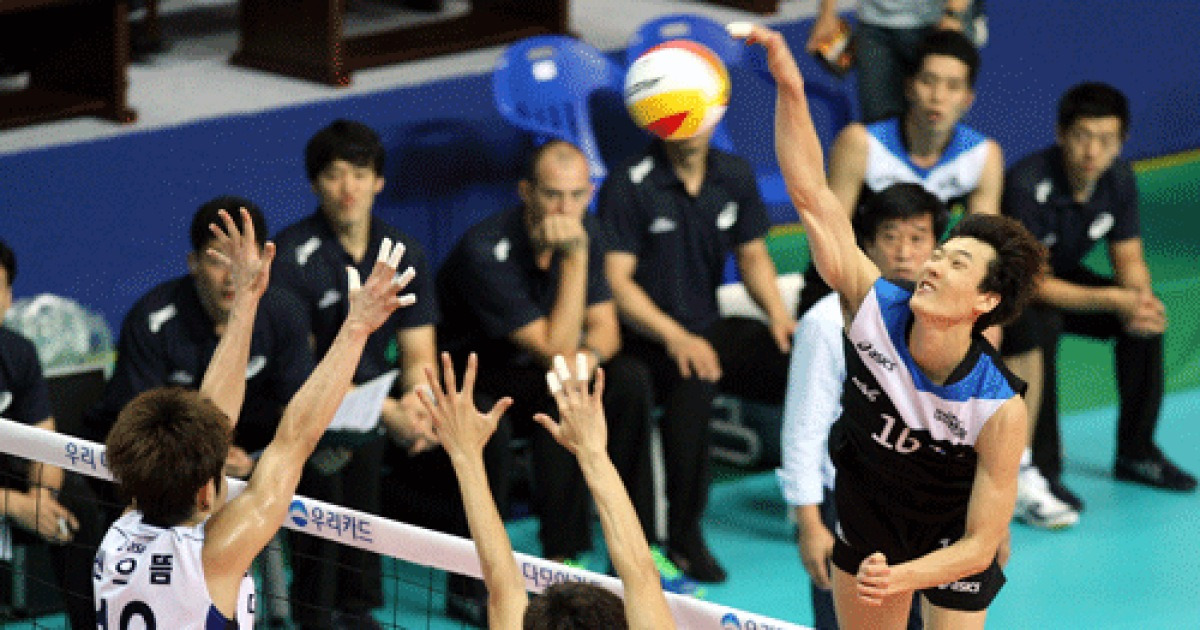 2013 KOVO컵, '깜짝 스타' 발굴..'관중‧시청률 상승'