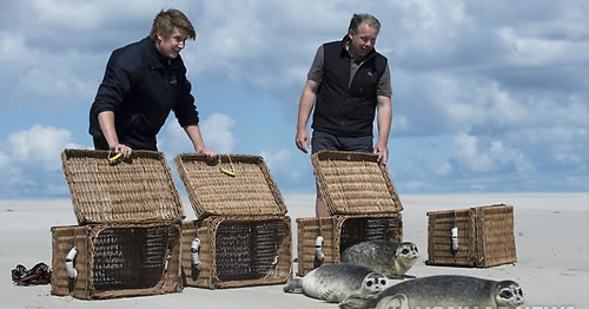 GERMANY SEALS