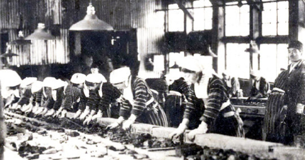 Japan Drafted 9 Girls as Young as 8 Years Old: Average Age of Laborers ...