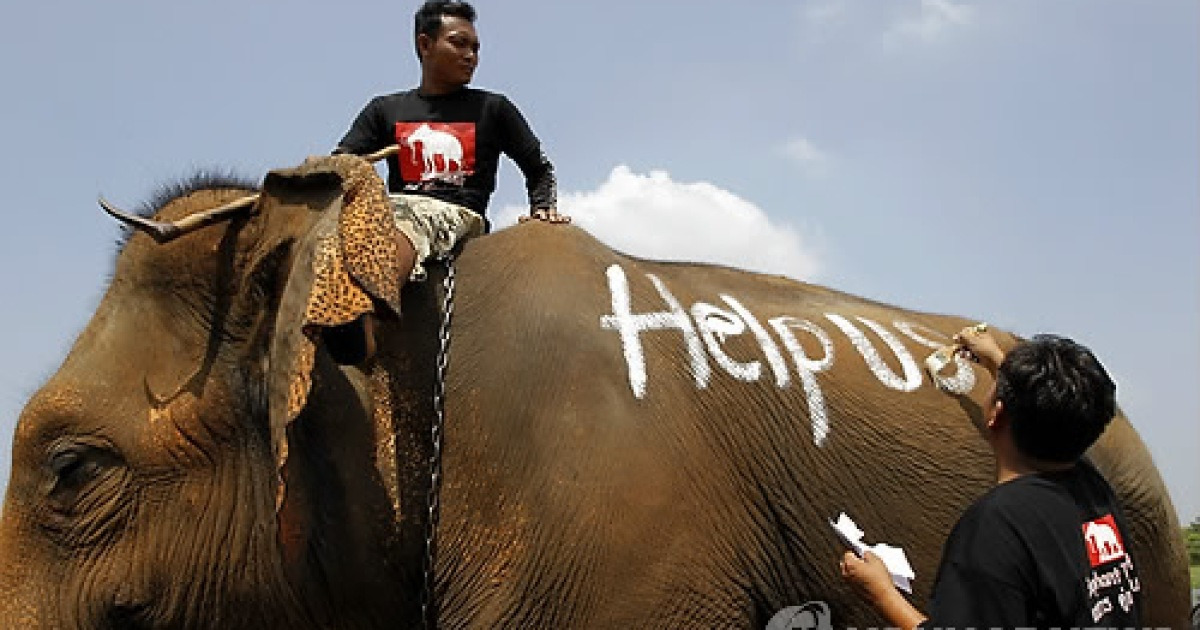 THAILAND ELEPHANT PROTEST