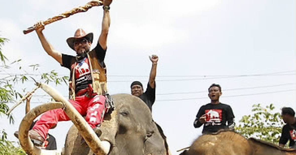 THAILAND ELEPHANT PROTEST