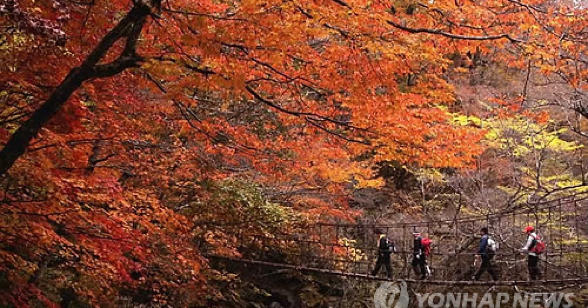 지리산 피아골의 단풍