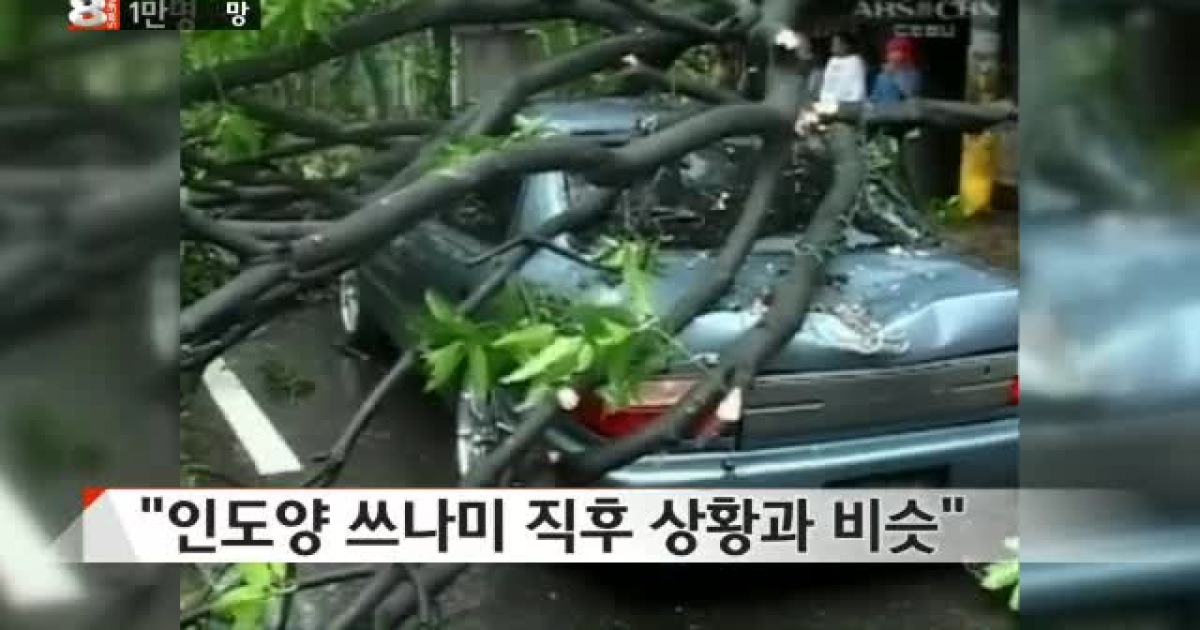 필리핀 슈퍼 태풍 속수무책 사망자 1만 명 육박