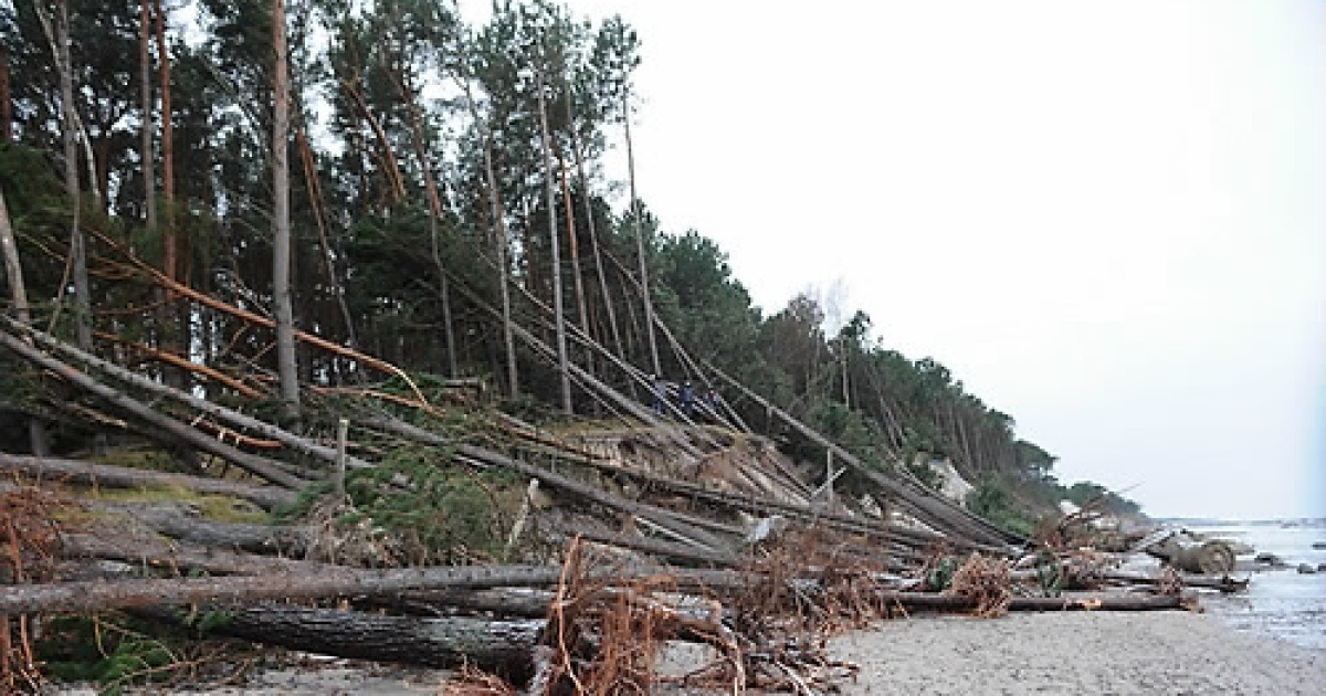 POLAND XAVIER STORM DAMAGES