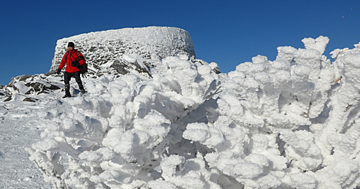 대한민국 최고 겨울산, 태백산에 '눈꽃' 만발