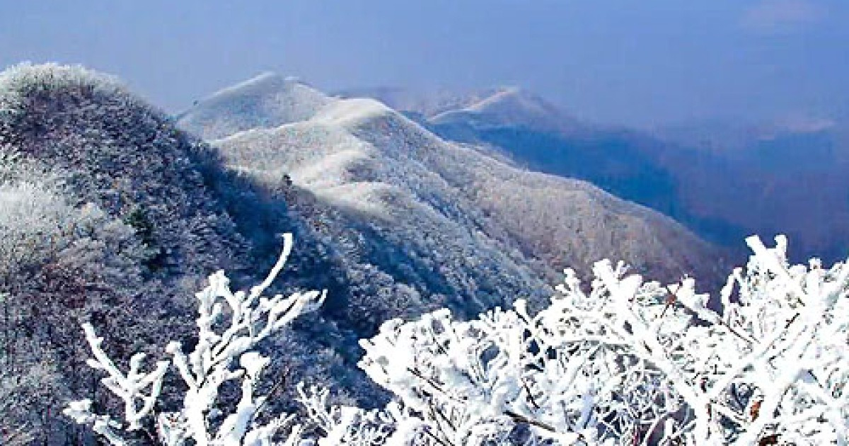 하얀 이불 덮은 겨울산..국가대표급 설경 코스