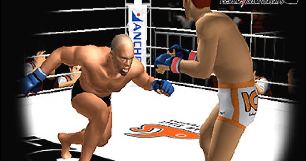 THQ코리아, PS2용 격투게임 "프라이드 FC" 25일 출시