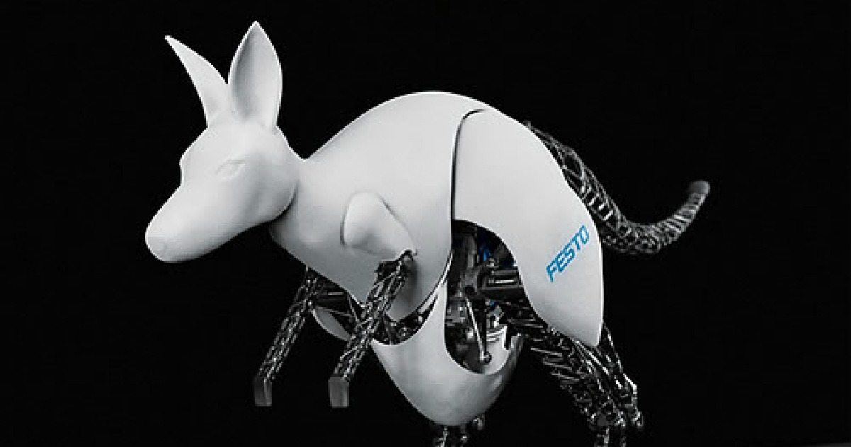 AUSTRALIA GERMANY BIONIC KANGAROO