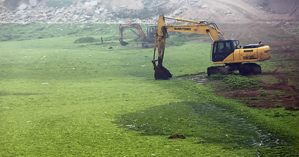 CHINA ENVIRONMENT ALGAE BLOOM