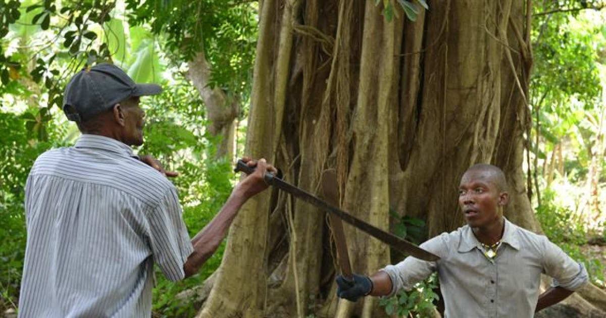 [오늘]저항의 상징 마체테