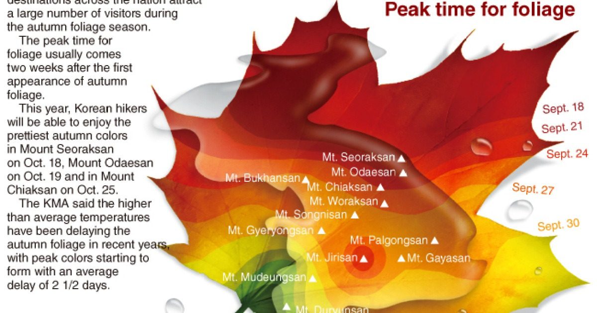[Graphic News] Autumn foliage arrives in late September