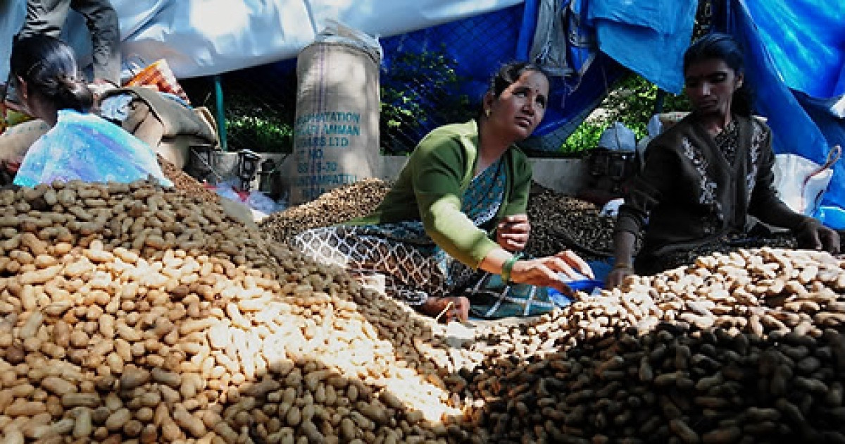 INDIA GROUNDNUT FAIR