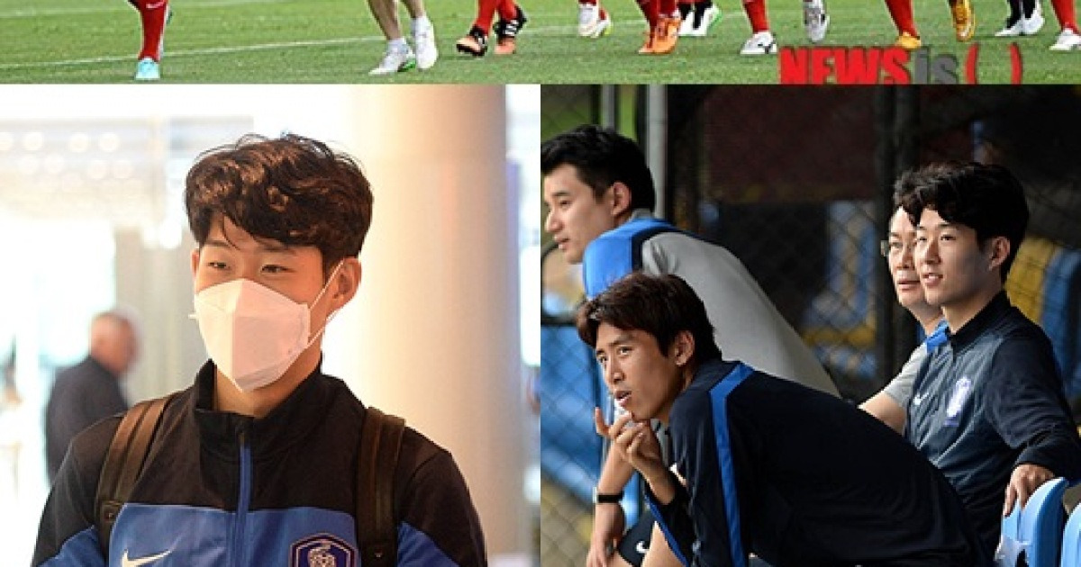 손흥민 감기몸살 한국 호주 축구 대비하는 동료들 보며 부러운 표정 눈길